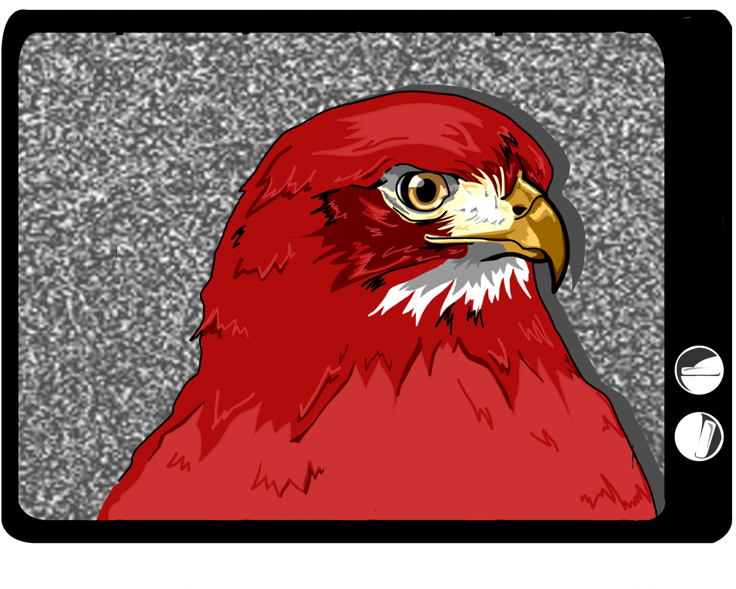 Who controls Hawk TV and what is it for? It depends who you ask ...